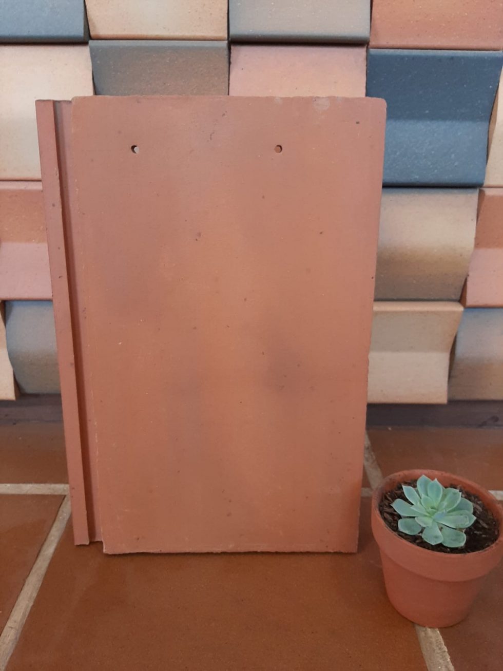 Tejas - Ladrillera Multigres